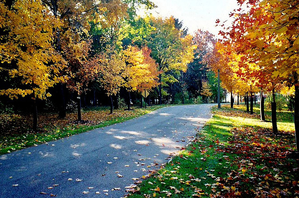Individually Directed Retreat IDR October 18 2019 Jesuit Retreat individually-directed-retreat-idr-october-18-2019-jesuit-retreat