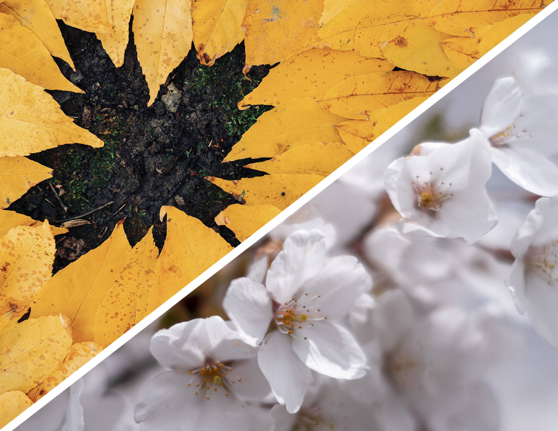 Women's Retreat | January 17, 2022 | Jesuit Retreat Center | Retreats ...